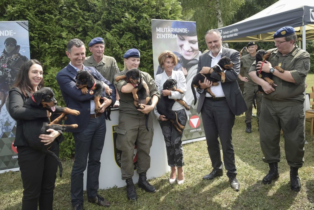 Growth at the military dog center