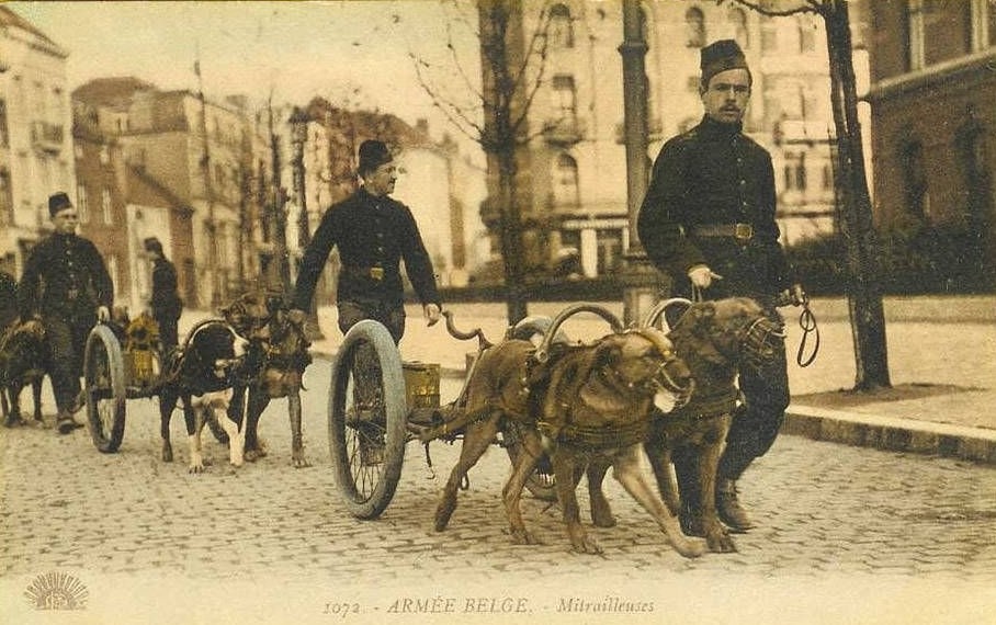 The machine gun carts of the Belgian army