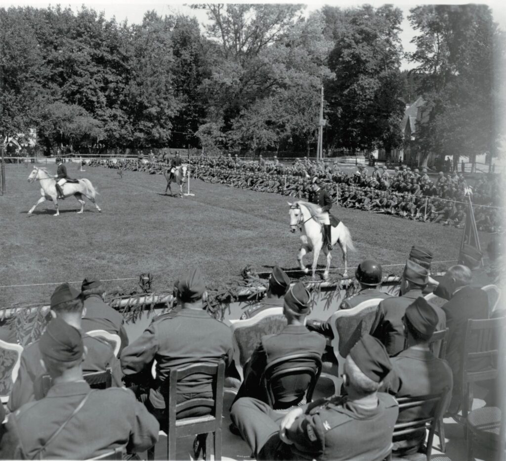 80 years ago: When the cowboys saved the Lipizzaners