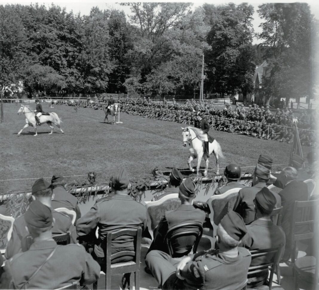80 years ago: When the cowboys saved the Lipizzaners