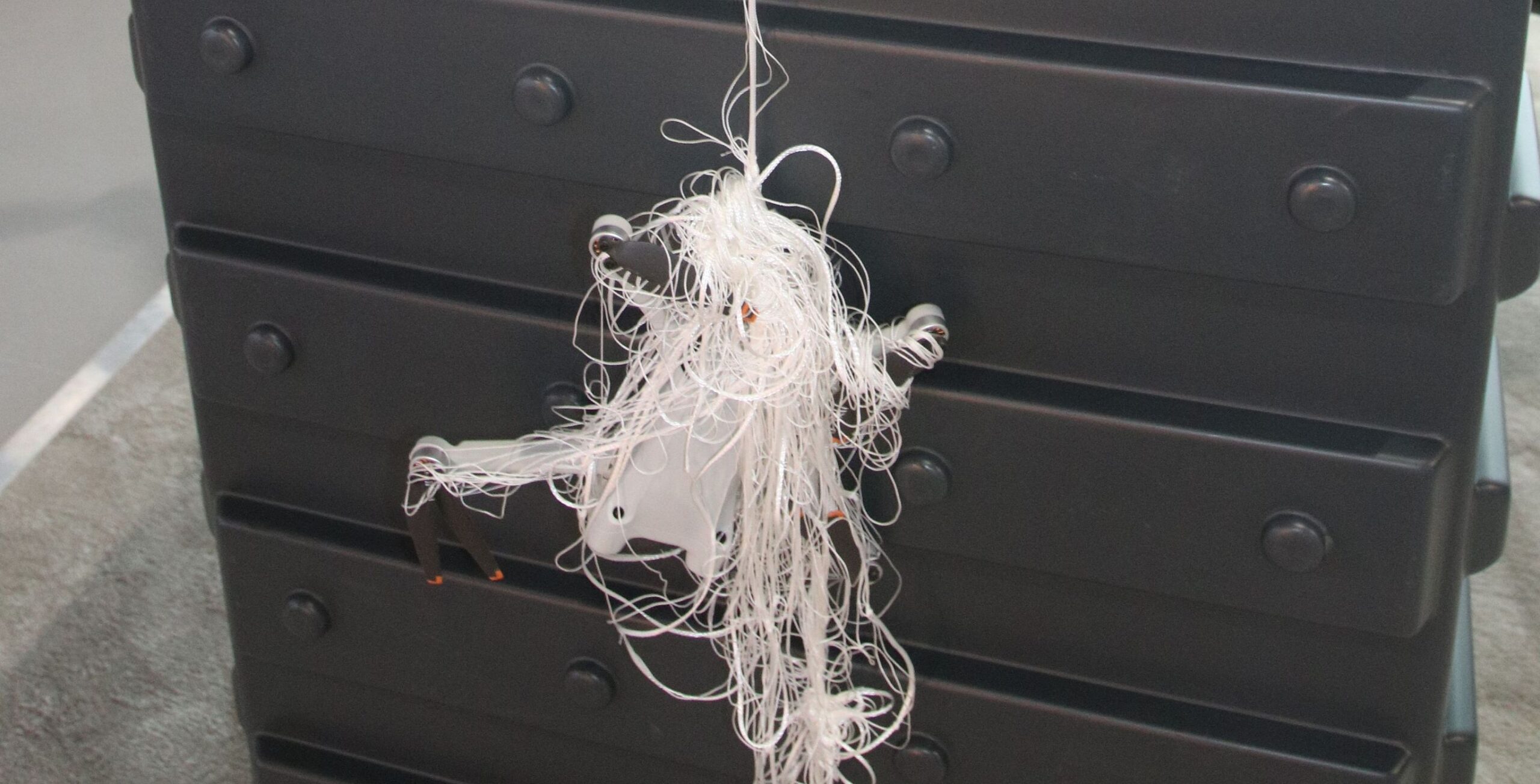 Argus: "Intercepting drones, or rather ‘capturing’ them..."